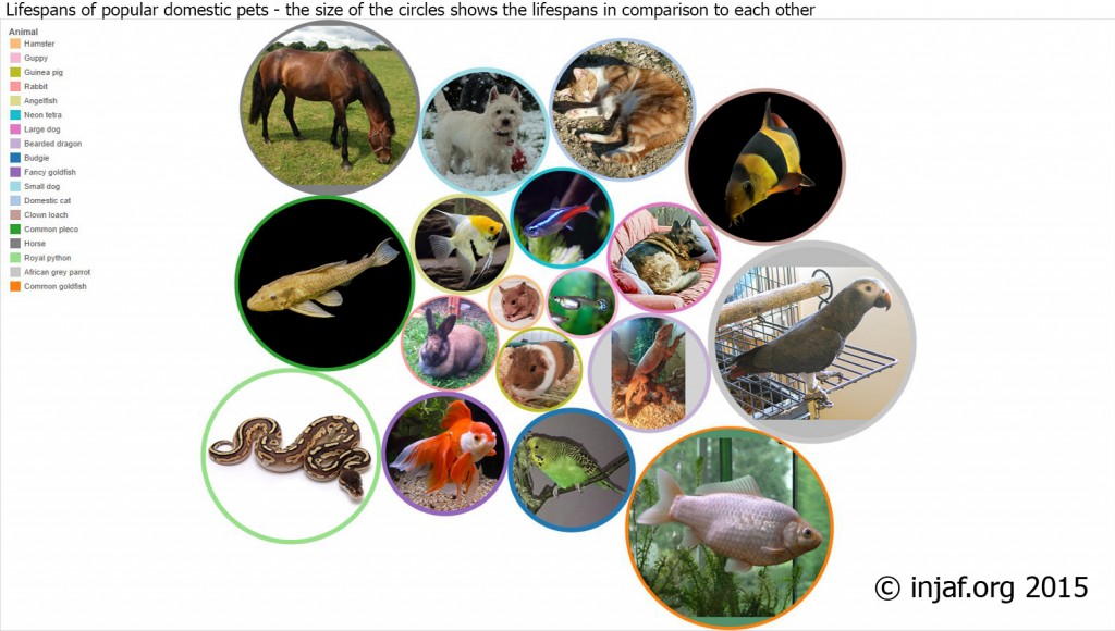 Lifespans of fish and other animals - INJAF